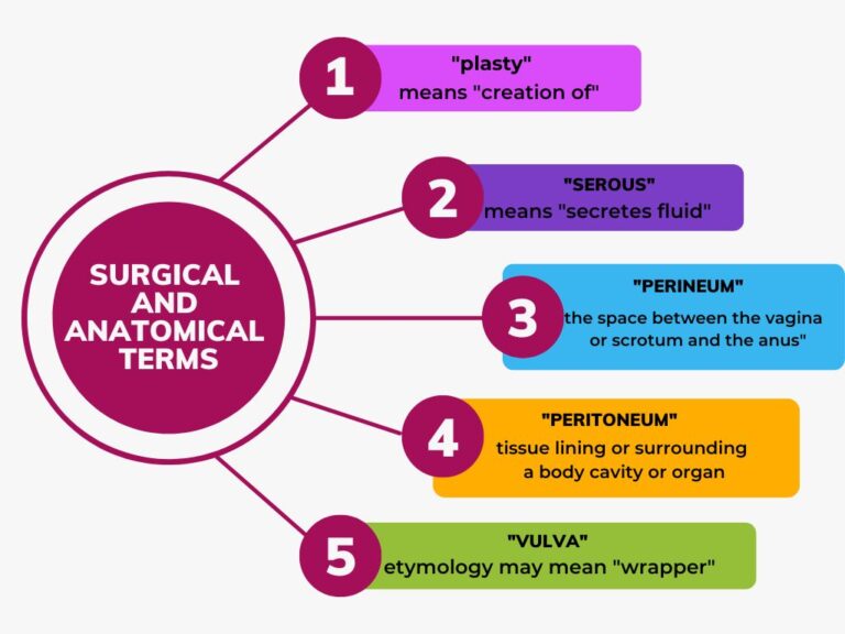 Adding to Your Bottom Line: Phallus-Preserving VulvoVaginoplasty ...